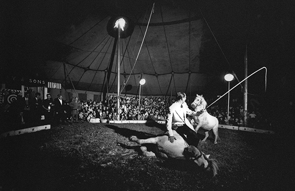 FONTAINES D.C. - Dogrel (2019) - Stars Are Underground